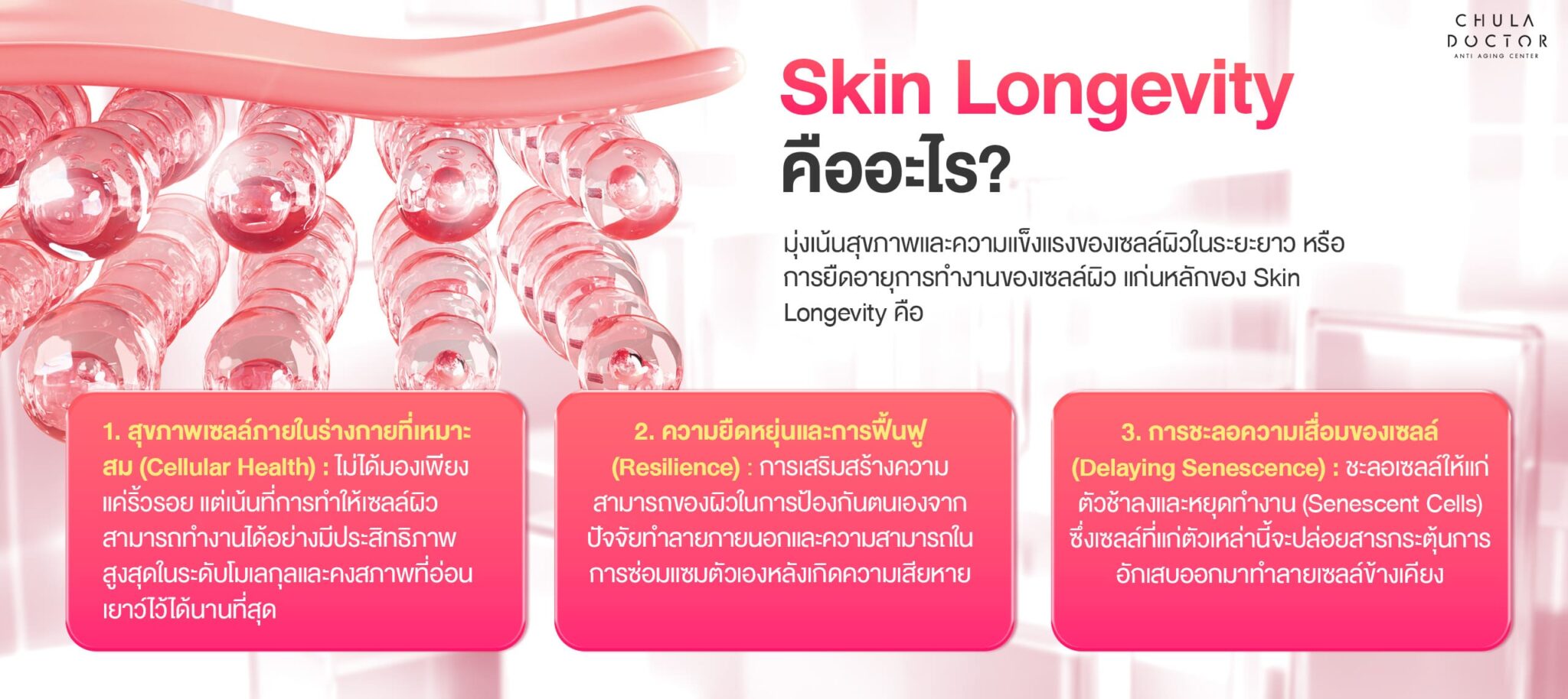 SMAPS+ กับบทบาทใหม่ใน Skin Longevity : รักษาฝ้าแบบไม่ทำร้ายผิวอีกต่อไป